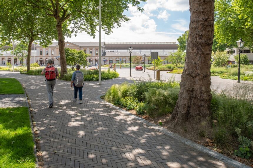 Integrating Nature: Zwolle Train Station Square - The Architecture Post